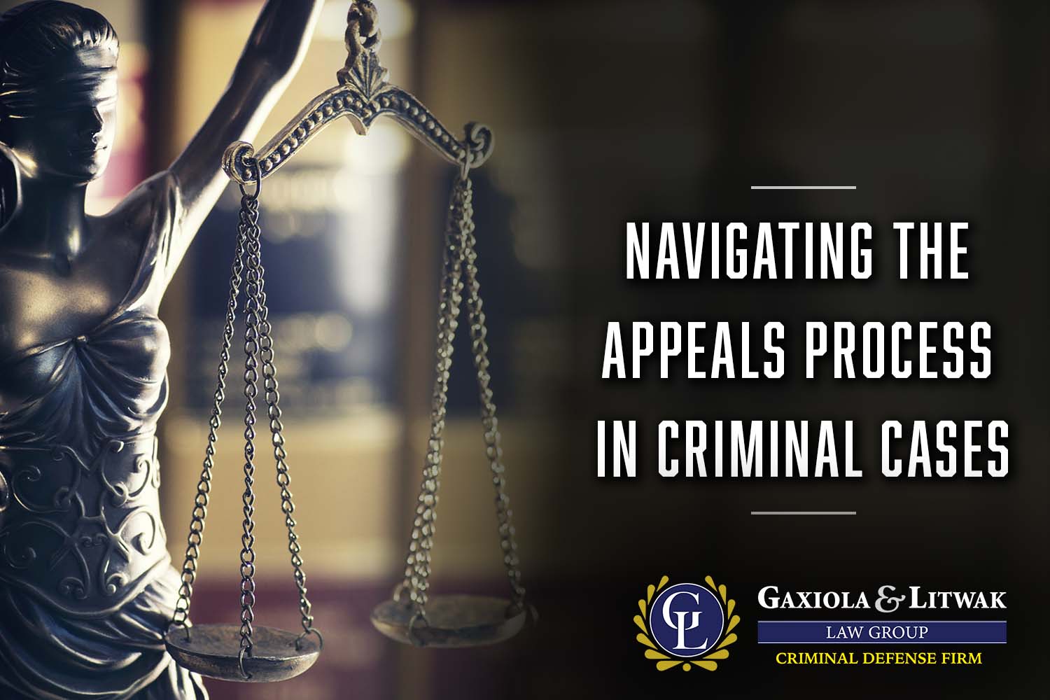 Navigating the Appeals Process in Criminal Cases - Gaxiola & Litwak Law Group